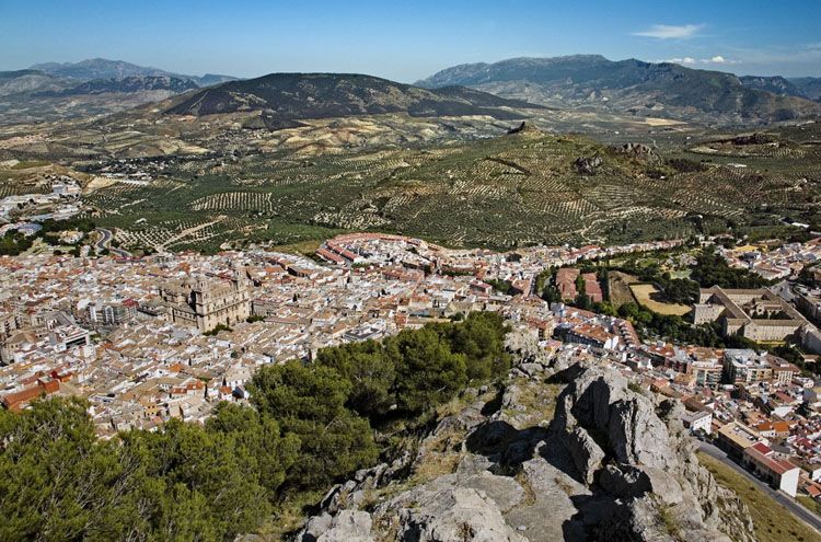 Jaén, capital mundial del aceite de oliva, nada más y nada menos | The ...