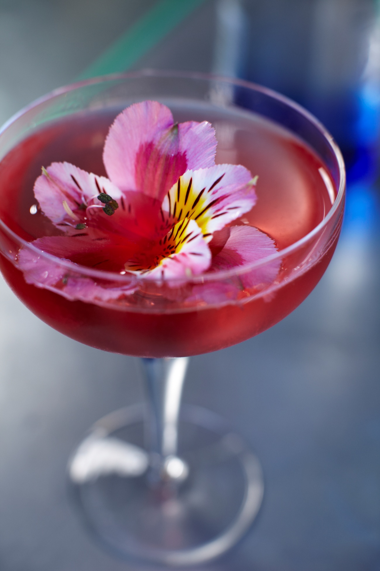 Grand Cosmopolitan Cocktail | The Gourmet Journal: Periódico de Gastronomía