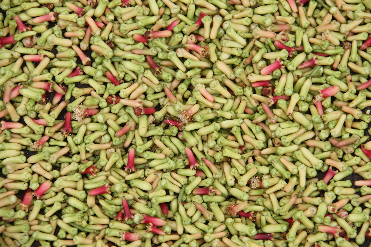 Clavo de Olor verde | The Gourmet Journal