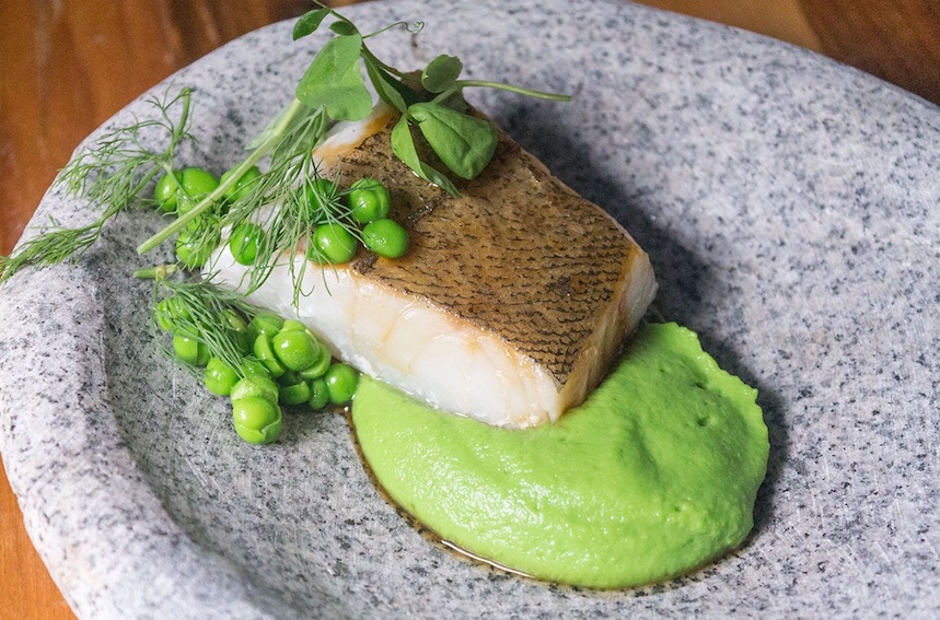 3 Recetas con Merluza Austral de Chile | The Gourmet Journal