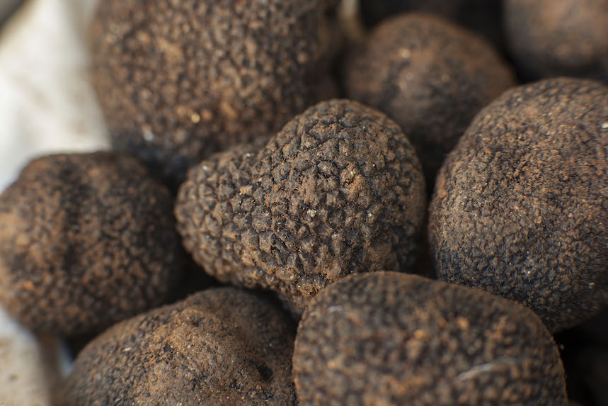 Trufa negra, el oro de la alta cocina | The Gourmet Journal