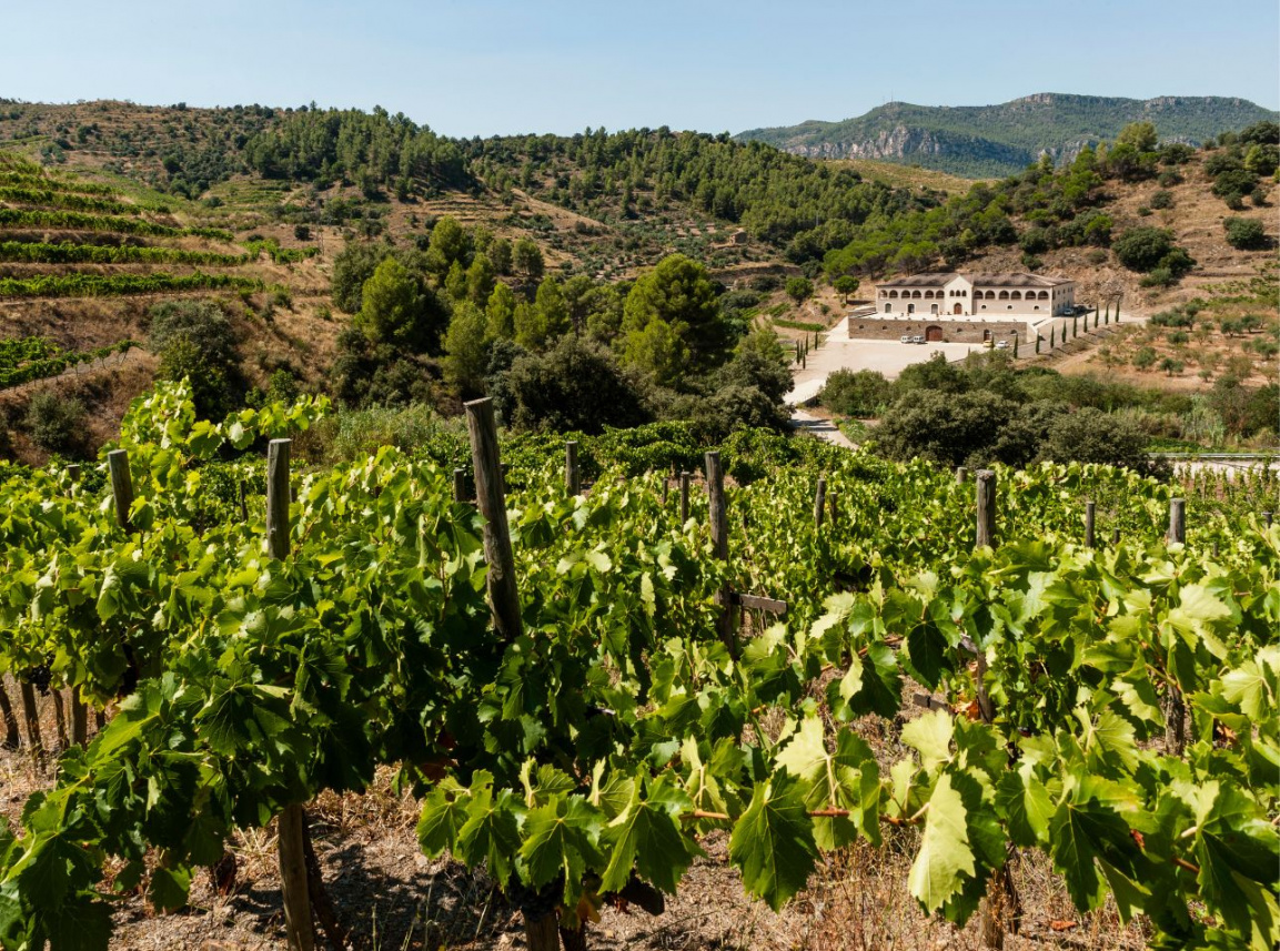 Enoturismo en Cataluña, las rutas y fiestas del vino | The Gourmet Journal